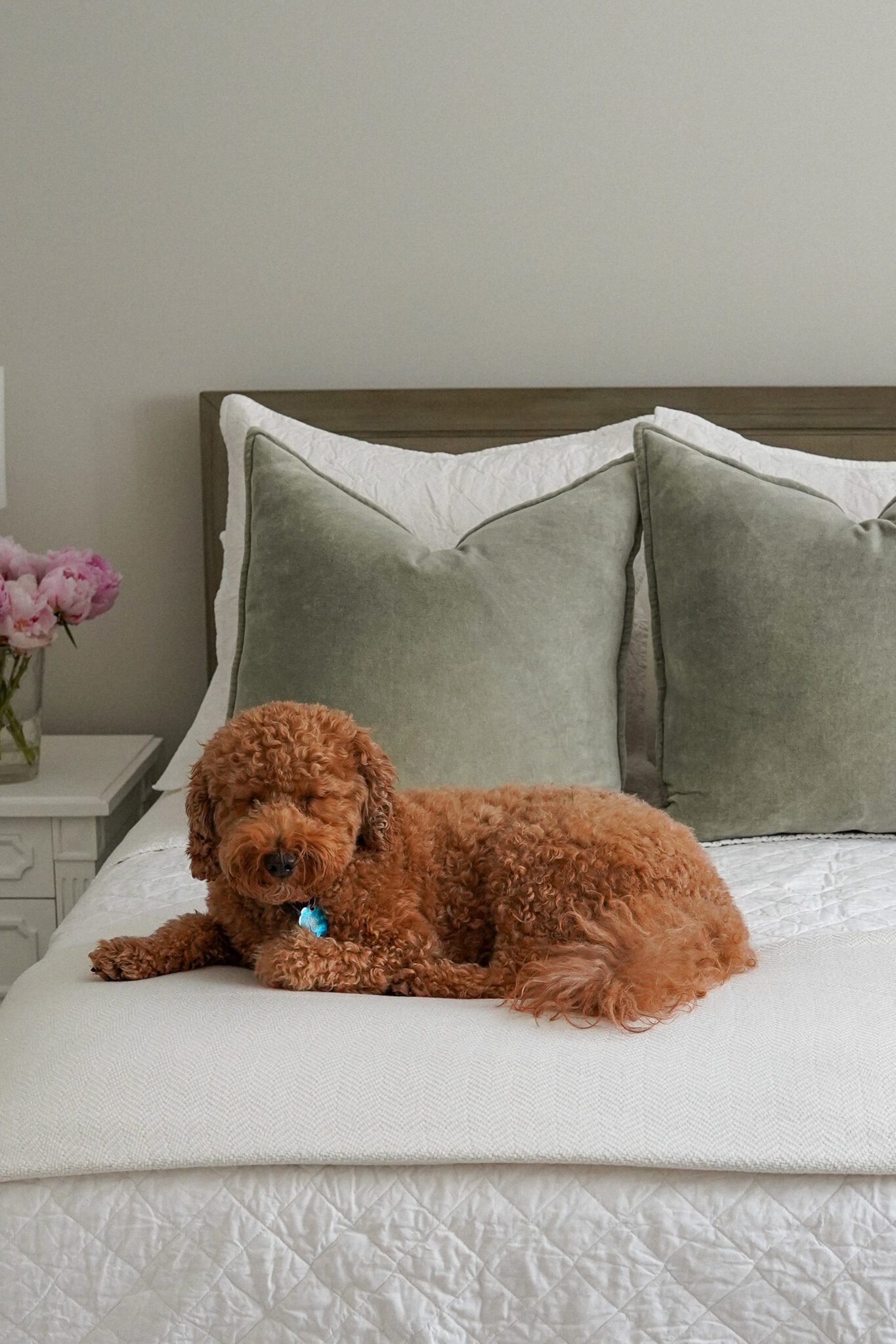 Bedding Refresh with Red Land Cotton - Alexandra Moss