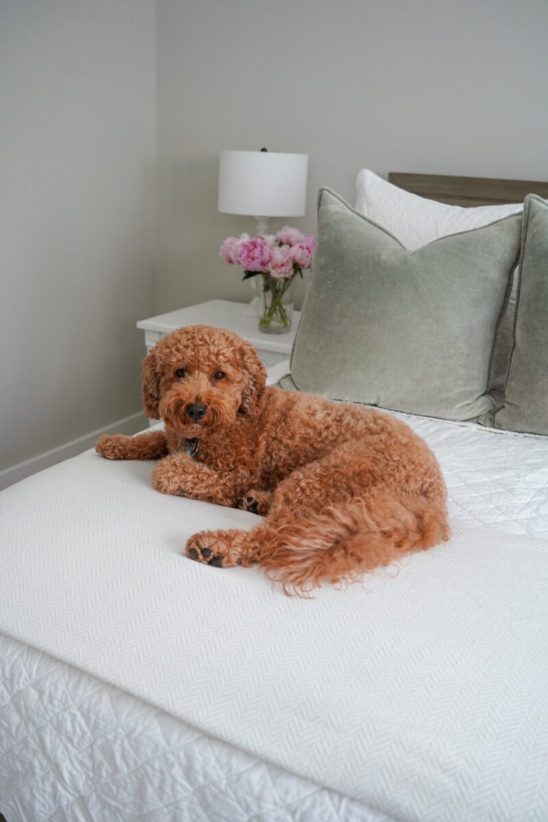 Bedding Refresh with Red Land Cotton - Alexandra Moss