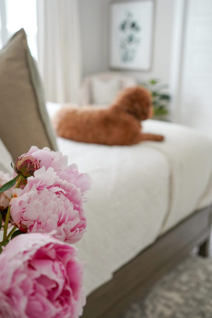 Bedding Refresh with Red Land Cotton - Alexandra Moss